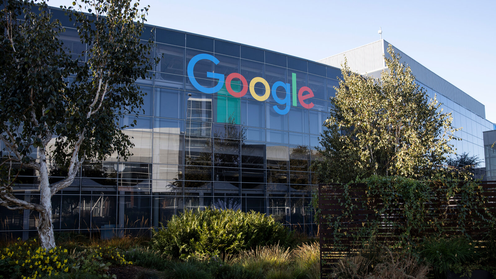 Google Ex employees Accuse Company Of Mistreatment LaptrinhX News