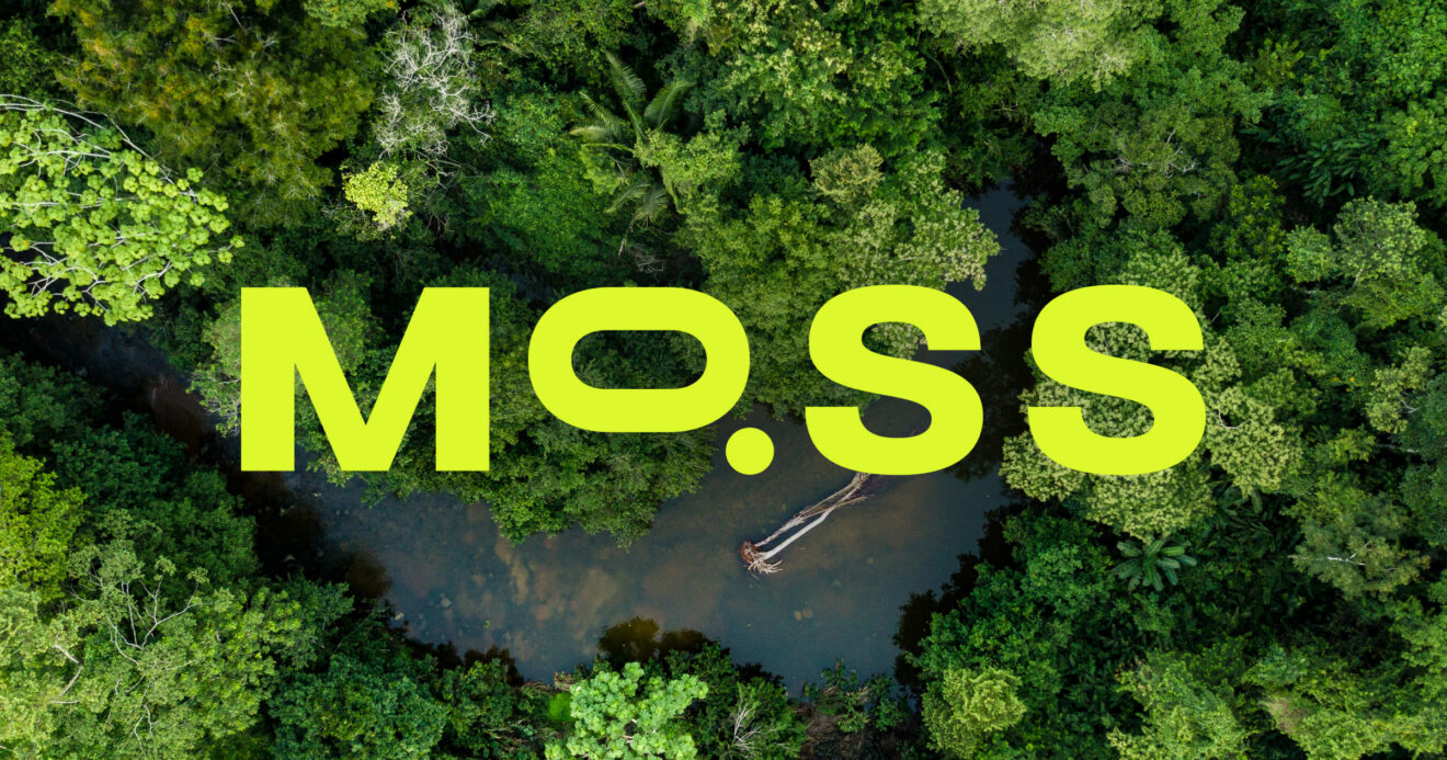 Moss Carbon Credit: Everything you need to know - TechStory