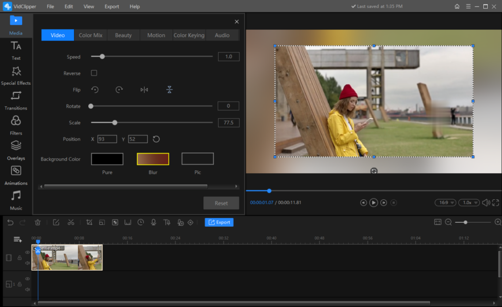 How to Blur a Video [A Free and Easy Tutorial] - TechStory