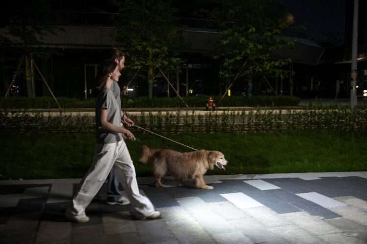 Olight’s New ArkPro Flashlight Series is An Exciting Combination of ...